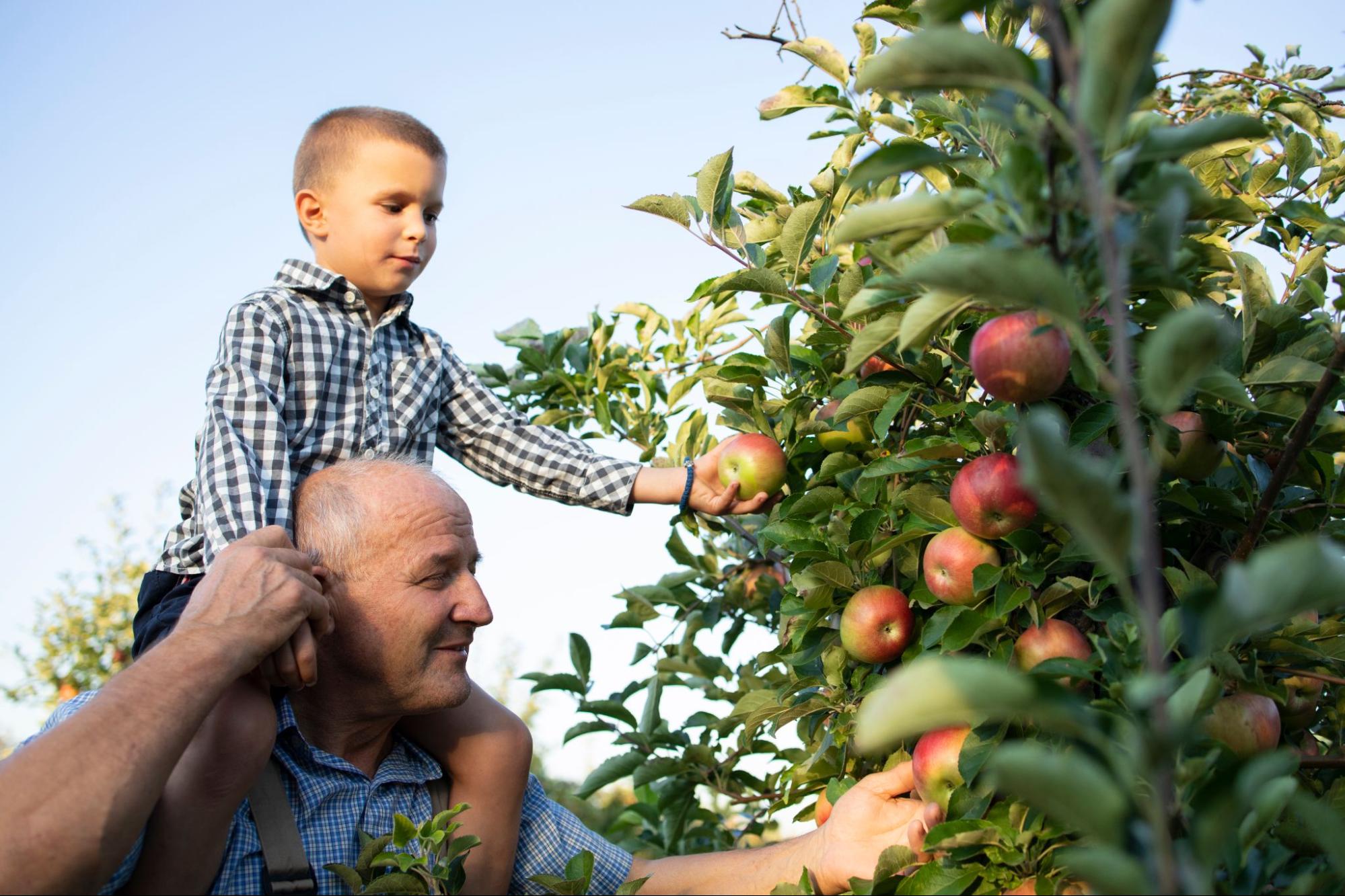 Manger des fruits et légumes de saison dès le plus jeune âge